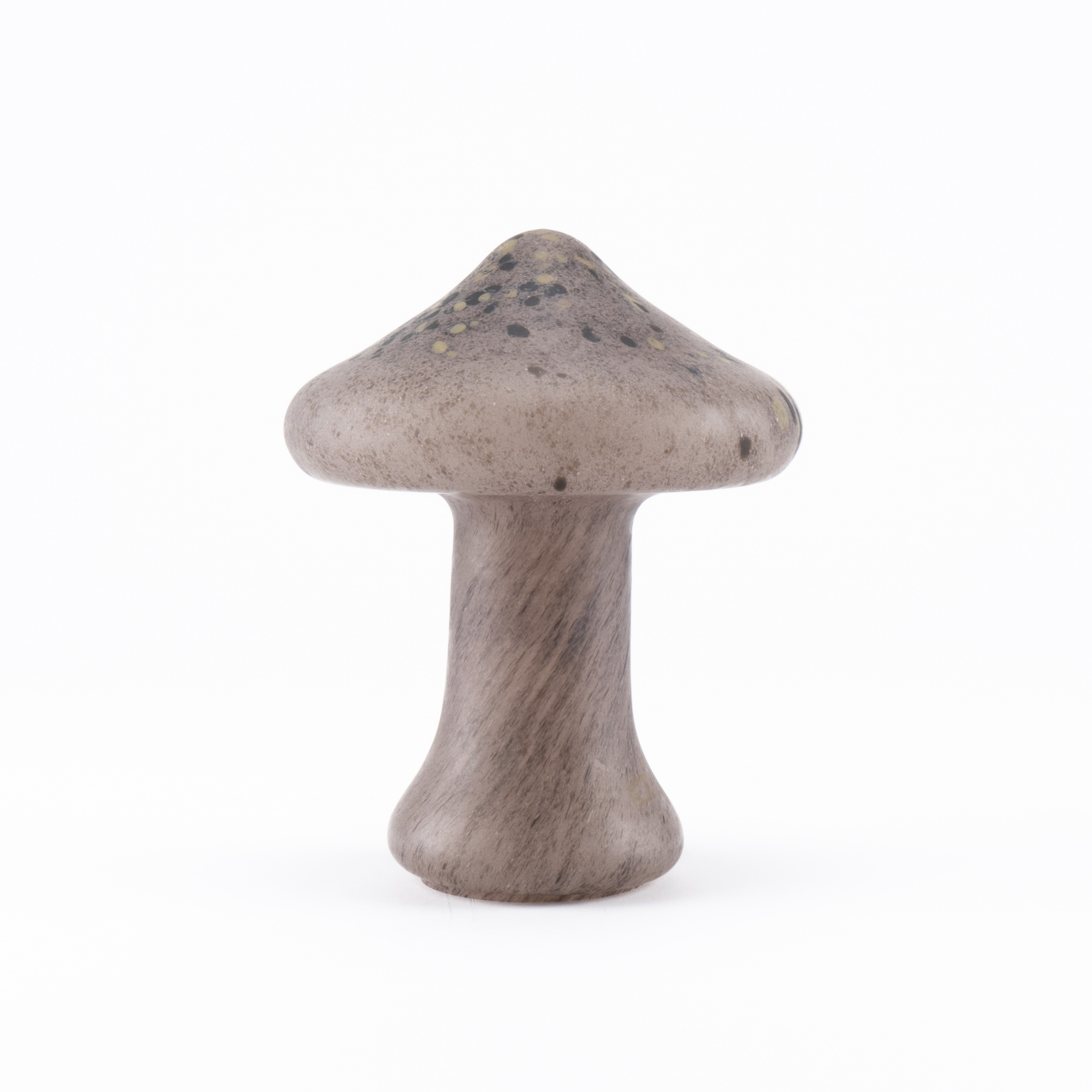 【Mushroom】Fjällskivling
